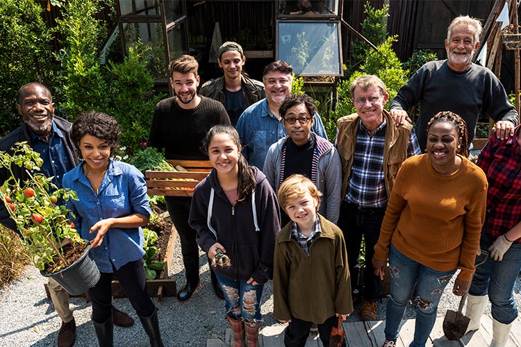 3 Steps Approach to Textual Analysis for IBDP - Advika institute